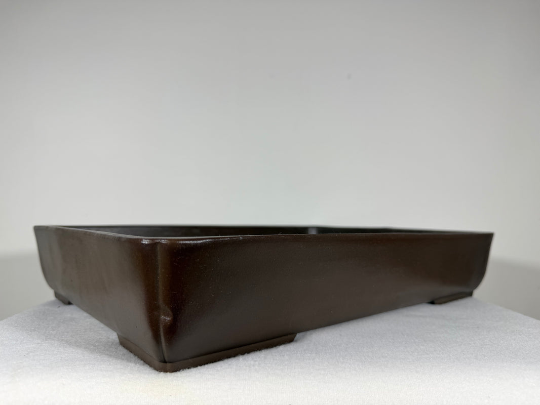 Rectangular Tokoname Bonsai Pots | Bonsai4seasons – Bonsai 4 Seasons